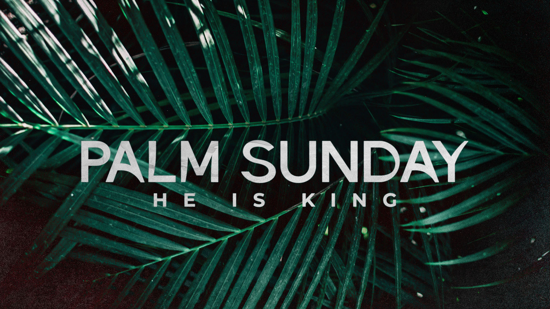 He is King - Christ Church Nashville